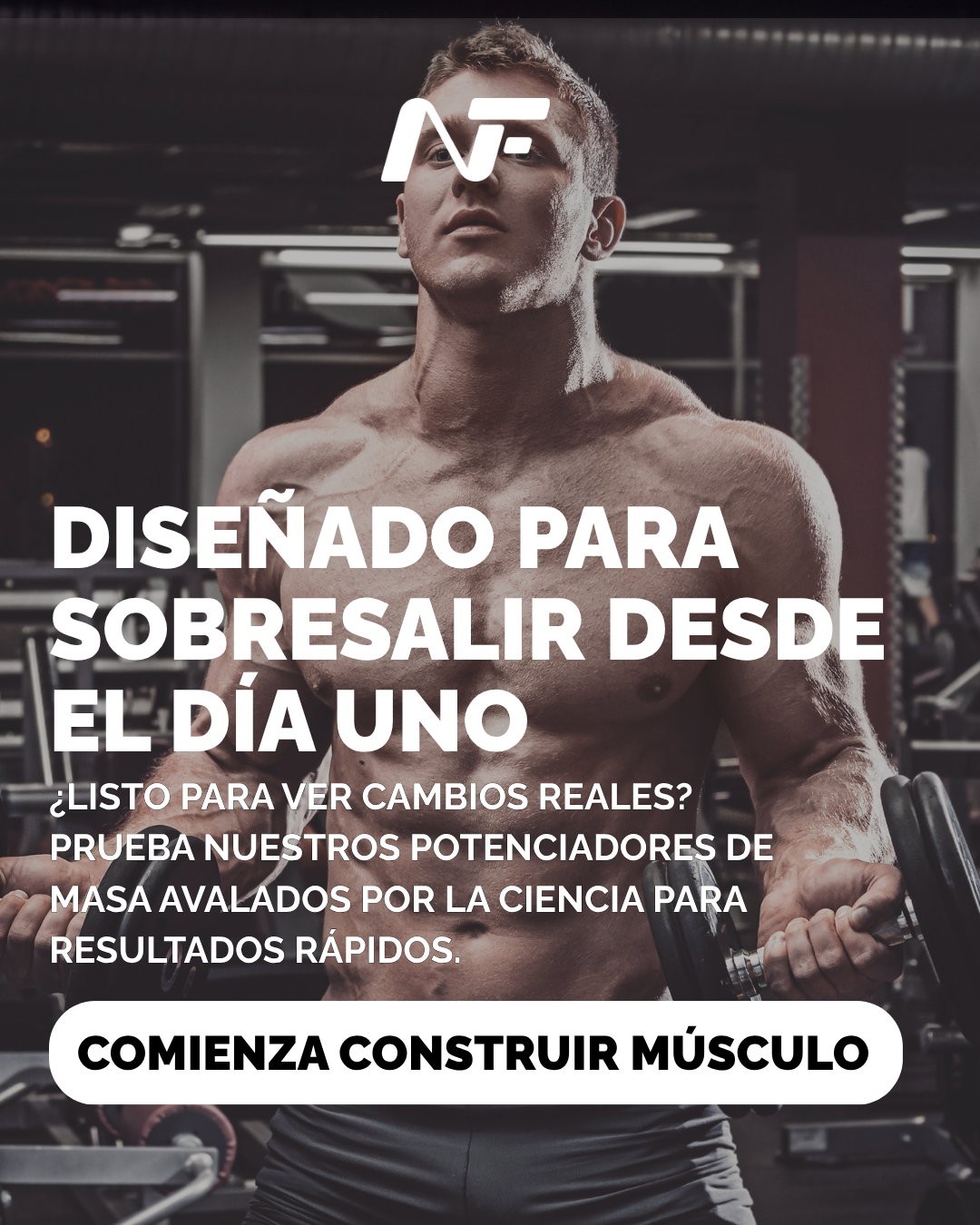 Construcción de masa – Nutrifort Chile